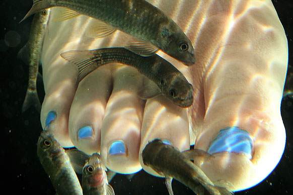 35% discount-Fish Therapy Feet Dead Skin Removal Bahrain